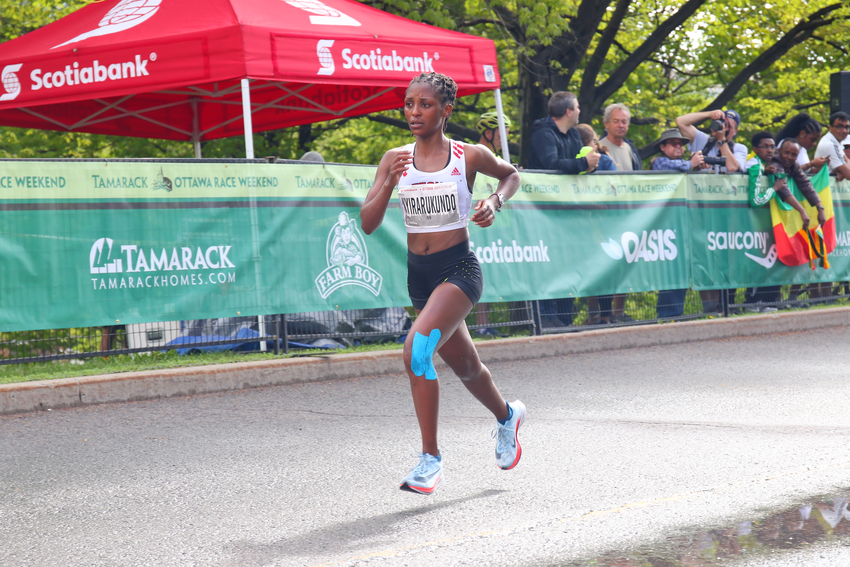 Records, Near Misses, and Dominant Wins: Lions Impress at Ottawa Race ...