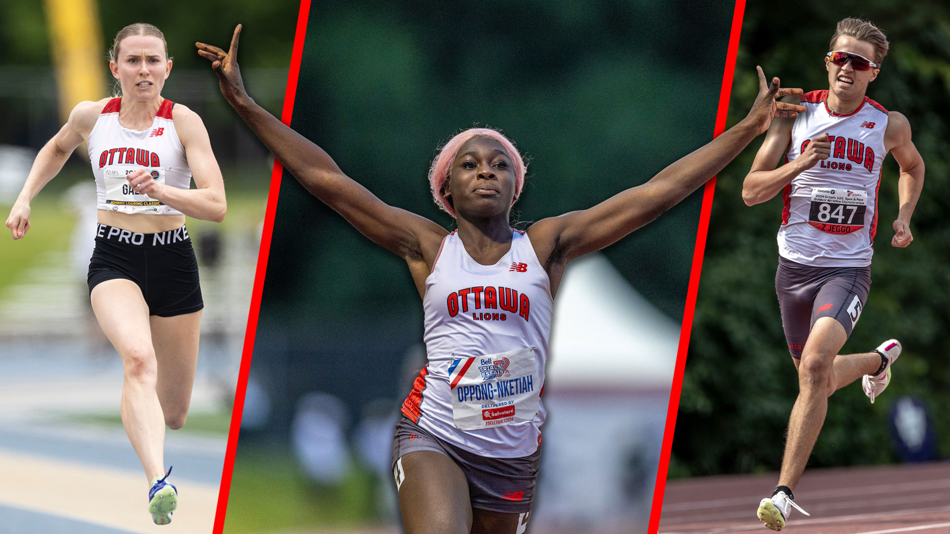 News - Ottawa Lions Track and Field Club