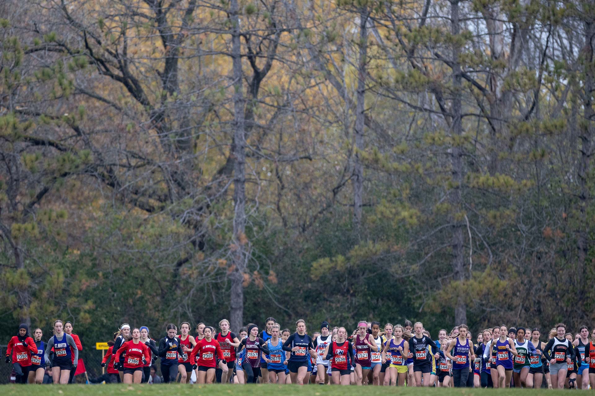 Lions Set for OFSAA Cross Country Championships in Brampton - Ottawa ...