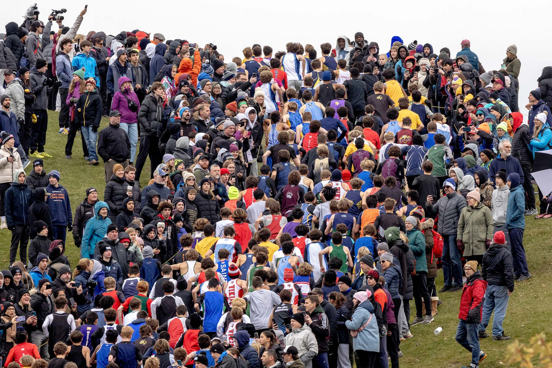 Lions Impress with Strong Showings at OFSAA Cross Country Championships ...